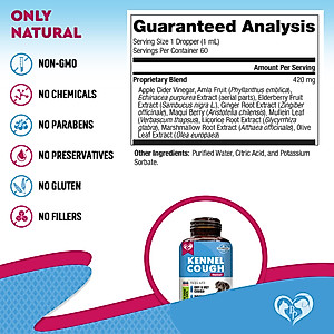 Kennel Cough Treatment & Natural Infection Medicine for Dogs & Cats - Respiratory & Cold Cough Relief - Collapse Trachea & Cat Asthma Support - Made in USA