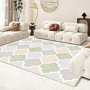 Eroyat Moroccan Area Rug 5'x7',Machine Washable, Non-Slip and Stain Resistant Indoor Carpet,Suitable for Bedroom Living Room Flat Kitchen