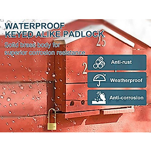 DELSWIN Keyed-Alike Solid Brass Padlock - Small Pad Locks with Same Key Weatherproof Long Shackle Lock for School Gym Locker and Tool Box, Pack of 2