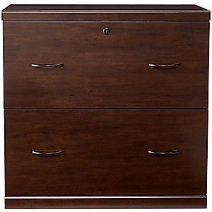 Z-Line Designs 2-Drawer Lateral File Espresso Cabinet with Black Accents