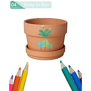 vensovo 5.7 Inch Terracotta Shallow Succulent Pot - 6 Pack Terra Cotta Clay Pots with Saucer, Cacuts Terra-Cotta Indoor and Outdoor Planters with Drainage Hole