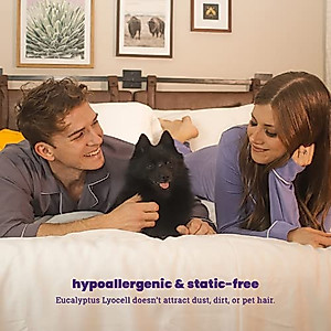 Sheets & Giggles 100% Eucalyptus Lyocell Sheet Set - All-Season, Responsibly Made, Naturally Cooling, Super Soft, Moisture-WicQueen, Temperature Balancing, Vegan – Queen, Pearl