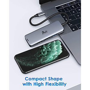 USB C Docking Station Dual HDMI, USB C to Dual Monitors Adapter to Dual 4K HDMI, 3 USB, PD Charging Port, LIONWEI USB C Hub Dual Monitor for Dell XPS 13/15, Lenovo Yoga, HP x360 /Elitebook, etc