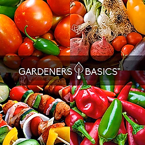 Heirloom Hot Salsa Growing Seed Packets 8 Varieties Habanero, Jalapeno, Serrano Peppers, Roma, San Marzano Tomato, Cilantro, Green Onion, Tomatillo for Garden Non-GMO Heirloom Gardeners Basics