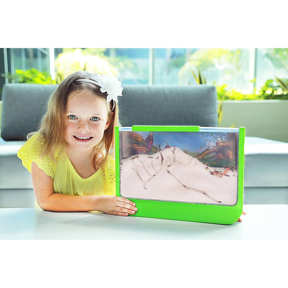 Uncle Milton Giant Ant Farm - Large Viewing Area - Care for Live Ants - Nature Learning Toy - Science DIY Toy Kit - Great Gift for Boys & Girls, Green