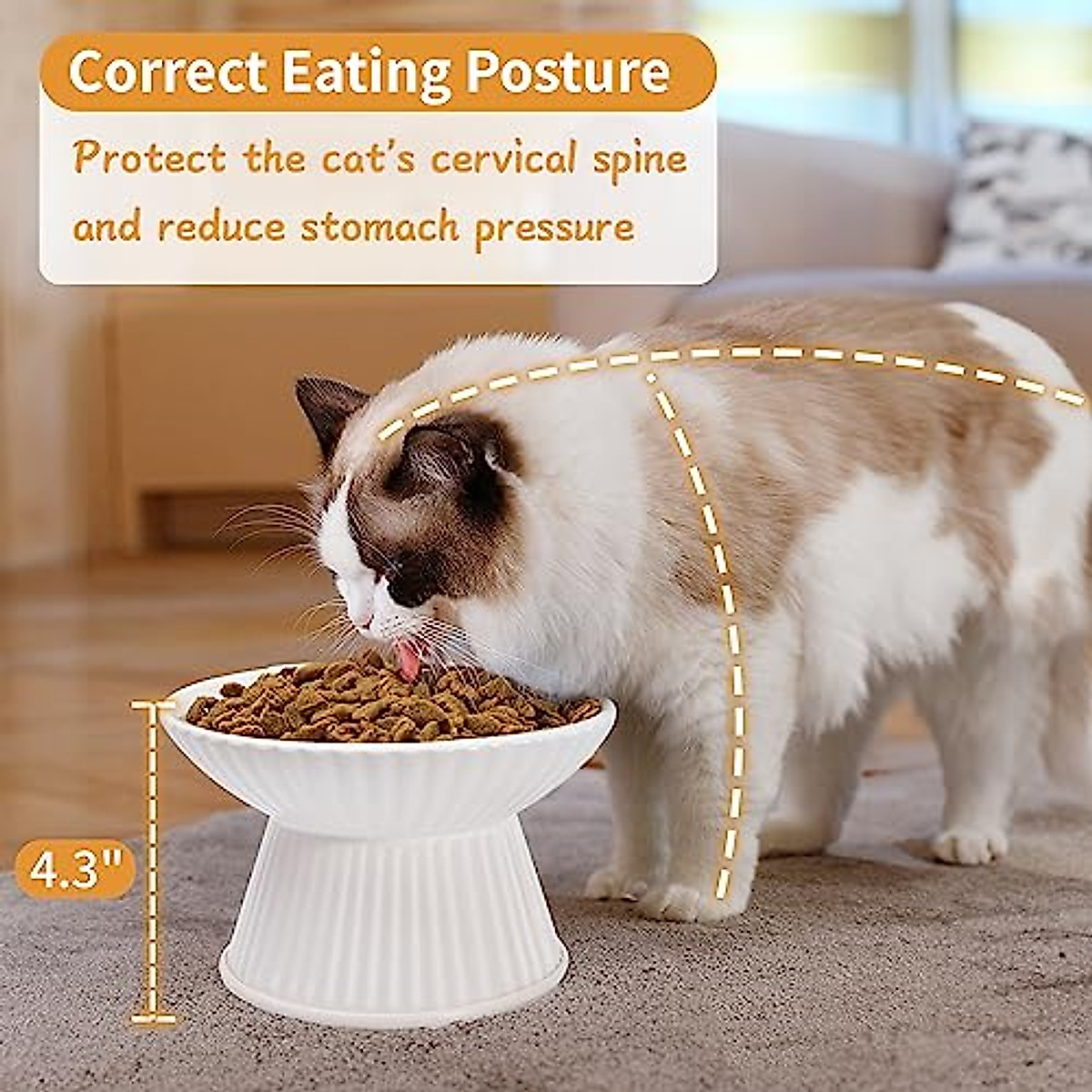 6.5" Extra Wide Ceramic Elevated Cat Bowl, Whisker Friendly Raised Cat Food Bowl for Food and Water, Anti-Vomiting High Cat Dish for Indoor Cats with Non-Slip Ring, Dishwasher Safe & Microwaveable