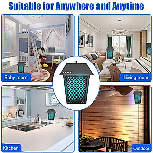 KAPAS Electric Bug Zappers, 20W Outdoor & Indoor Blue Light Pest Control Lantern for Mosquitoes, Flies, Gnats, Pests & Other Insects (Black - 1 Pack)