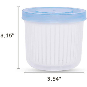 Vegetable Storage Box, Refrigerator Food Fresh Box with Drain Basket, Double Layer Vegetables Sealed Keeper for Chopped Green Onion, Ginger, Garlic, Vegetables and Fruits (2PCS)