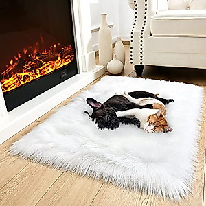 Noahas White Faux Fur Rug,Luxury Fluffy Rugs for Bedroom,2 x 3 Feet Washable Area Rugs,Sheepskin Bedroom Rug,Furry Carpet Small Shag Rug,Soft Throw Rugs for Living Room,Kids Boys Girls Room Decor