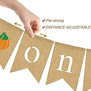 Rainlemon Jute Burlap Pumpkin One High Chair Banner Fall Thanksgiving Boy Girl 1st Birthday Party Highchair Garland Decoration