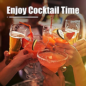 Cocktail Shaker Set Bartender Kit with Stand,17-Piece Stainless Steel Bar Kit Drink Mixer Set, Including Martini Shaker, Jigger, Strainer, Mixer Spoon, Muddler, Liquor Pourers, and Recipes Booklet etc