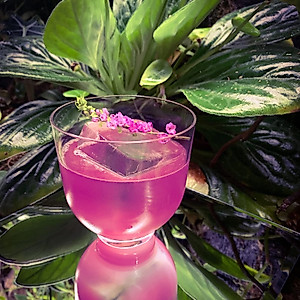 Nude Glass Hepburn Set of 4 Low Ball Glasses 12.85 oz - Round Cocktail Glasses, Scotch Glasses, Bourbon Cognac, Vodka, Margarita Tumbler Old Fashioned Glasses Set for Home Bar Gifts