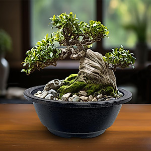 MUZHI 12 Pack Matte Finish Black Round Bonsai Bowl Planter Pot with Drainage, Plastic Garden Low Planter Pots 7.8"