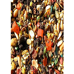 ABBA 2200"Heavenly Hookbill Fruit/Nut Treat for Cockatiels and Small Parrots 5lbs