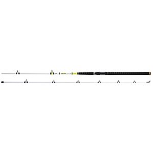 Daiwa Beef Kitty Catfish Rod 12ft Medium Heavy 2 Piece, BFK1202MHRB