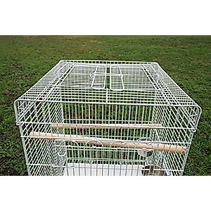 57" Rolling Standing Medium Dome Bird Cage Open Top Quaker Parrot Cockatiel Sun Parakeet Green-Cheek Conure Canary Lovebird Budgie Parrotlet Finch Cage with Detachable Stand