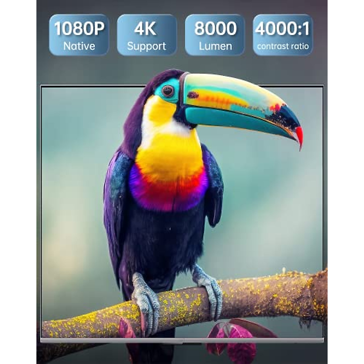 Mini Projector Native 1080P Outdoor Movie Projector, HISION 8000L Portable Home Theater 4K Support Video Projector Compatible with TV Stick, HDMI, VGA, USB, Laptop, DVD, iOS & Android Smartphone