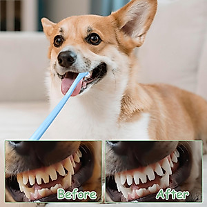Lusofie 4pcs Dog Toothbrush Mini Head Puppy Toothbrush for Pet Toothbrush Cleaning Kit，Small Tooth Brush for Puppies Cat Tooth Brush Soft Bristles Small Dog Toothbrush Brushing Kit