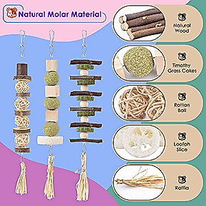 Bissap 3PCS Bunny Chew Toys, Natural Hanging Rabbit Chew Toy Treats for Guinea Pigs Hamsters Gerbils Chinchilla and Other Small Pets for Teeth Grinding