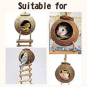 PINVNBY Crested Gecko Coco Hut with Ladder Natural Lizard Coconut Shell Hideout Home Mini Condo for Reptiles Durable Cave Habitat with Hanging Loop Coconut Texture Provide Food for Pets