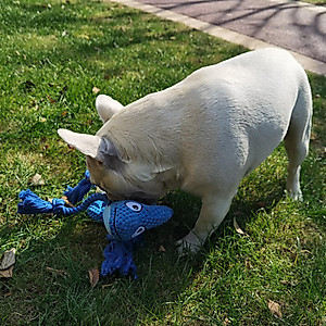 FQQWEE Dog Toys for Aggressive Chewers, Squeak Dog Toys with Chewed Rope, Indestructible Dog Squeaky Toys, Interactive Dog Plush Toys, Chew Toys for Puppy, Small, Middle, Big Dogs(Blue)