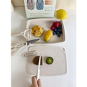 ZeQi 5-in-1 Cutting Board, Knife, Peeler, Scissors and Tray Set/Travel, Camping/Outdoor, Dorms/Small Cutting Boards/BPA Free/Dishwasher Safe/Kitchen Utensils…