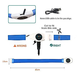 LaRoo LED Light Up Dog Collar, Cutable Silicon USB Rechargeable Glow Light Collar for All Dogs, Waterproof 3-Modes Flashing Dog Collar for Dark Outdoor Training Playing (25.5 inch/65 cm)