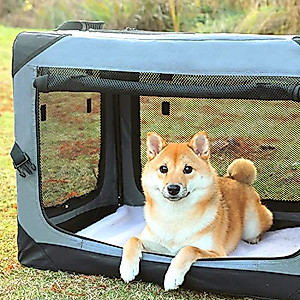 Pettycare 36 Inch Collapsible Dog Crate for Large Dogs, 4-Door Foldable Soft Dog Kennel with Chew Proof Mesh Windows, Indoor & Outdoor Travel Dog Crate, Soft Side Dog Crate