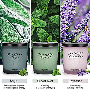 3 Pack Candles, Sage Candles for Home Scented, 36 OZ Aromatherapy Candles Gifts for Women, 210 Hour Long Lasting Jar Candles for Mothers Day Gifts Birthday Mom Thanksgiving Day Present