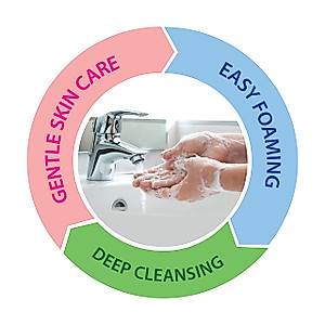 Dead Sea Collection Hand Soap Pump Coconut - Hand Wash Liquid with Dead Sea Minerals and Coconut Oil - All Skin Types Moisturizing & Nourishing - Pack of 2 (33.8 Fl Oz Each) - 67.6 Fl Oz