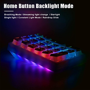BOYI TD21 HotSwap Mechanical Numeric Keypads,21 Keys Mini Numpad Portable Keypad BT5.0/2.4G/Wired Keyboard RGB Number Pad Wireless Numeric Keypad(Blue Color with OEM Profile Pudding Keycaps)