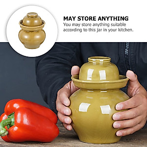 DEPILA 1kg Terracotta Traditional Chinese Fermenting Jar Stoneware Pickles Jar with Water Sealed Airlock Lid Ceramic Food Canister Bottle for Pickling Kimchi Sauerkraut jars
