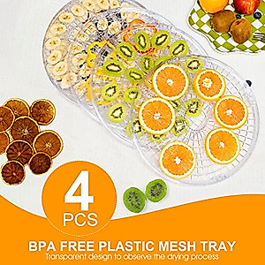 Adiding Food Dehydrator Machine, Dehydrator with 4 BPA Free Trays, Digital Timer & Temperature Control, 350W Food Dryer for Fruit Vegetable Meat Beef Jerky Herbs Pet Treats