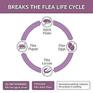 Amazon Brand - Solimo for Dogs Large Dog (45-88 pounds) Flea and Tick Treatment, 6 Doses