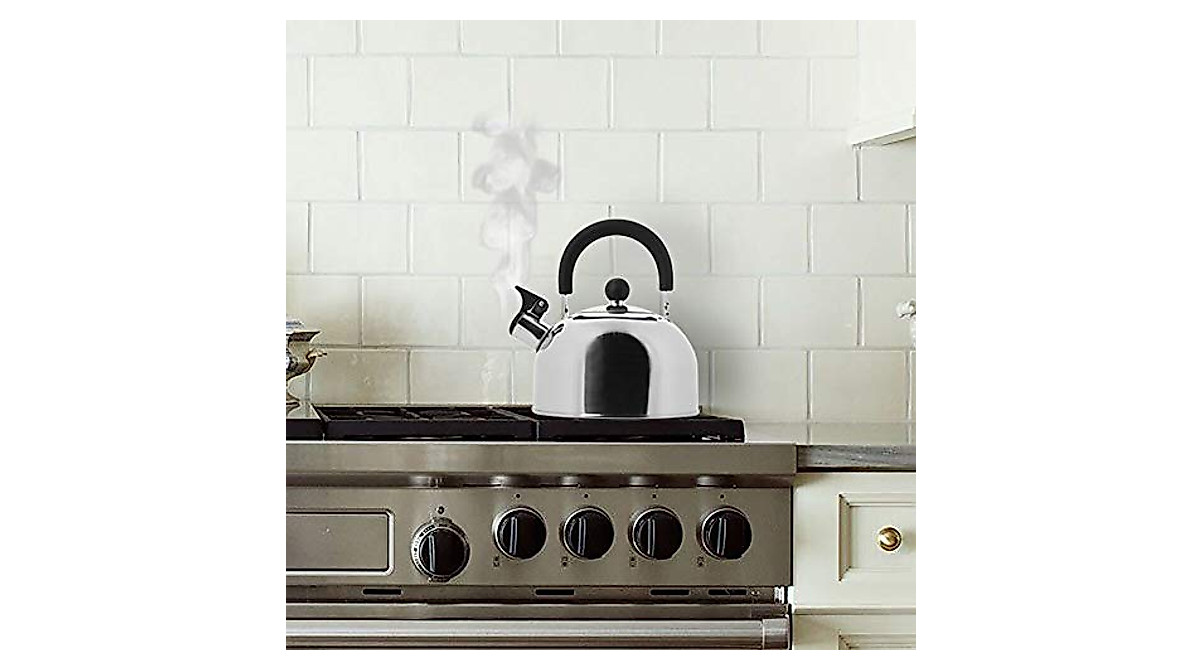 Lily's Home 2 Quart Stainless Steel Whistling Tea Kettle