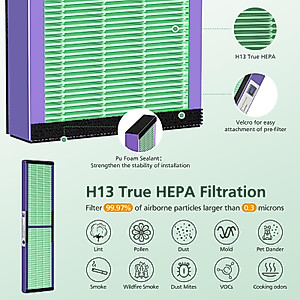 isinlive 2 Pack FLT5000 True HEPA Filter C Replacement with Pet Pure Treatment, and 8 Pack Activated Carbon Pre-Filters for Ger Guardian Air Purifier FLT5111 AC5000 AC5000E AC5250PT AC5350B AC5350BCA