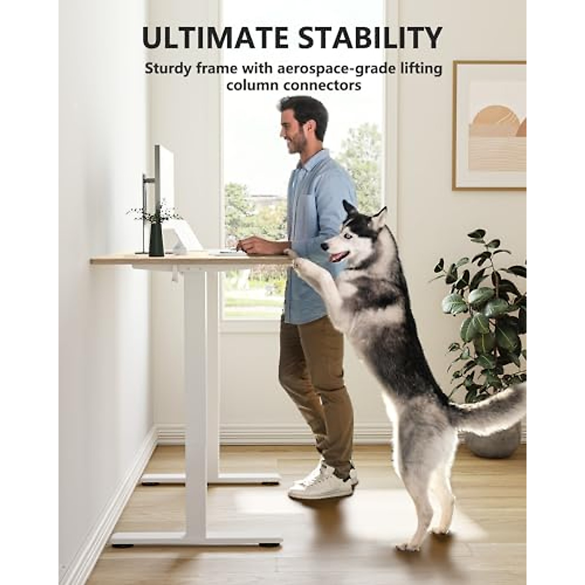 BANTI 40''x24''Height Adjustable Electric Standing Desk, Stand up Table, Sit Stand Home Office Desk with Splice Board, Maple Top