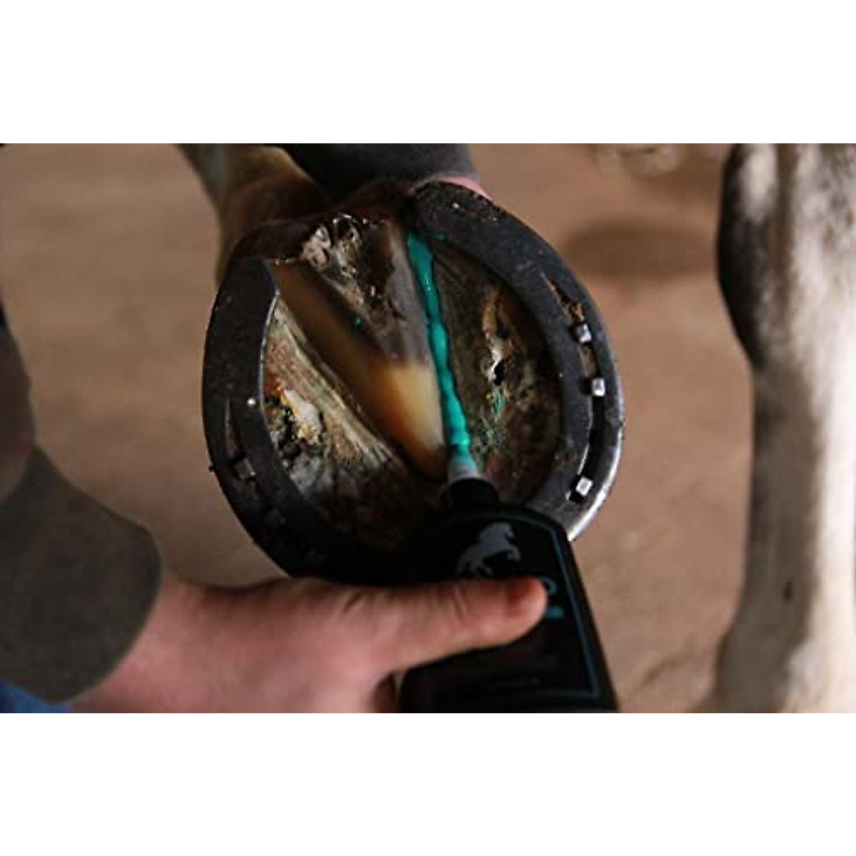 Therazure Zomp Liquid Hoof Thrush and White Line Treatment for Horses: Effective for Thrush Relief and Prevention on All Hooved Animals