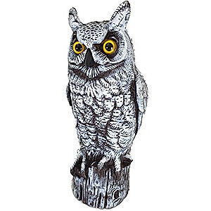 Dalen Fake Owl Decoy to Scare Birds Away from Gardens, Rooftops, and Patios - Scarecrow Provides Chemical-Free Pest Control - Safe and Humane, 16" Great Horned Owl - Snow White