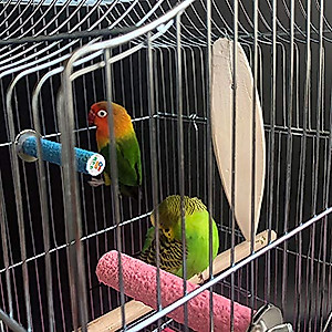 Scicalife Bird Cuttlebone for Parakeets,8-12cm Natural Cuddle Bone, Chewing Cuttlefish Bone for Sharp Beaks, Natural Birds Calcium Suitable for Parrot Cockatiels Budgie Conures (Beige)