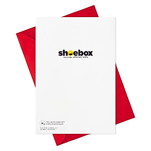 Hallmark Shoebox Funny Boxed Christmas Cards Assortment, Festive Cartoons (4 Designs, 24 Cards with Envelopes)