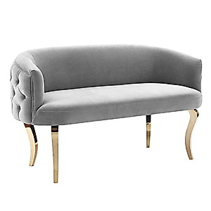 Tov Furniture The Adina Collection Contemporary Living Room Velvet Upholstered Loveseat, Grey with Gold Legs
