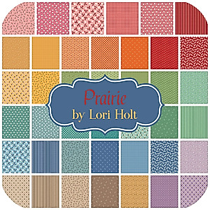 Prairie Scrap Bag (Approx 2 Yards) by Lori Holt for Riley Blake 2 Yards DIY Quilt Fabric