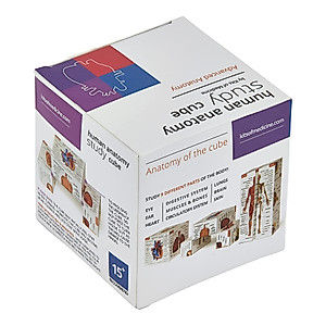 Human Anatomy Study Cube | Study 9 Parts of The Human Body | Perfect Anatomy Revision Guide | Addictive Anatomy Model Cube | Great Gift for Nurse, Dentist, Medical Students