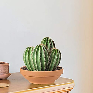 Terra Cotta Pots, Laergin 6.43 Inch Shallow Terra Cotta Clay Pots with Drain Hole Terra Cotta Plant Pot with Drainage Hole, Ceramic Plant Pots for Indoor/Outdoor Plants(6 Pack)