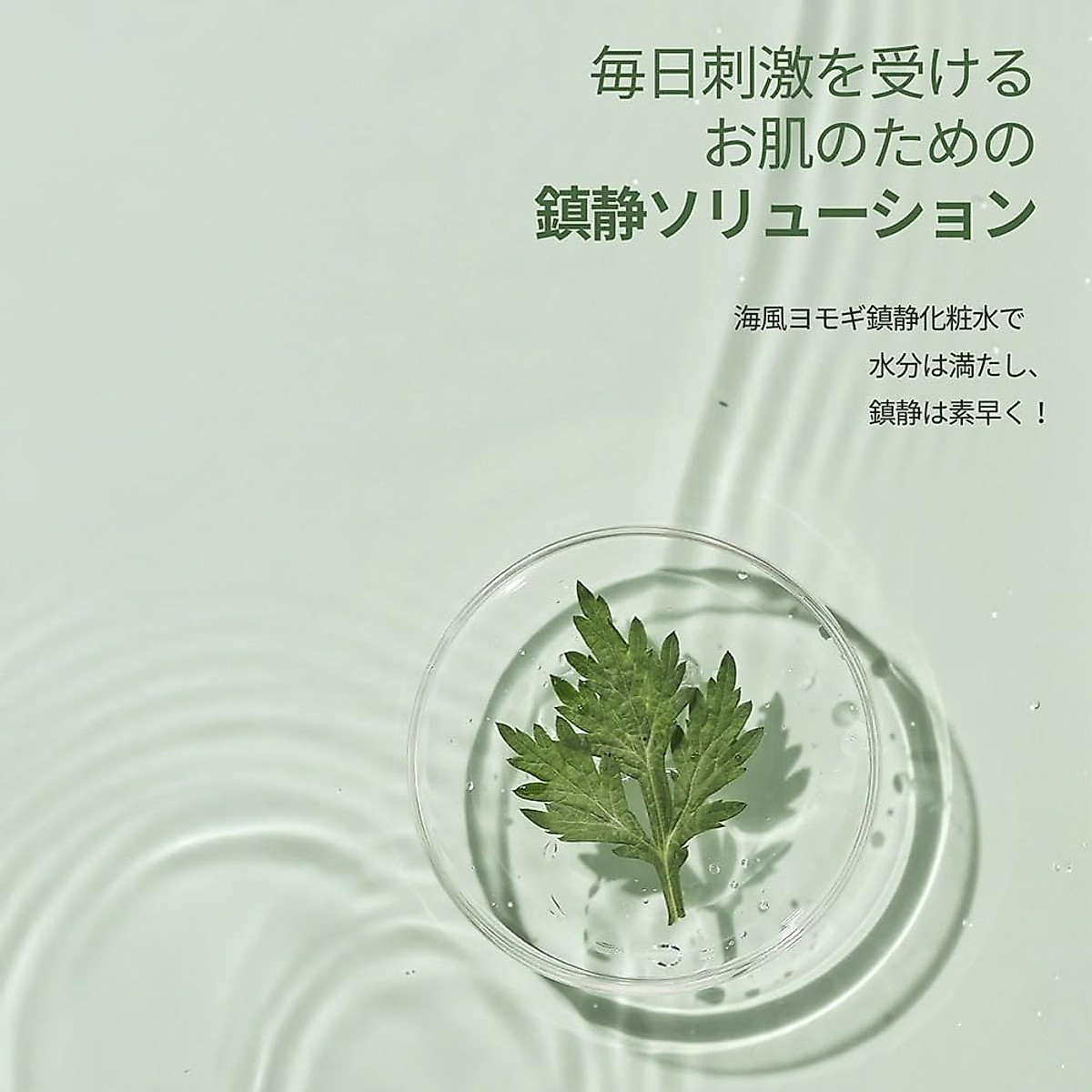 ROUND LAB Mugwort Calming Cream 80ml / Soothing, Moisturizing, Madecassoside, Calming Cream