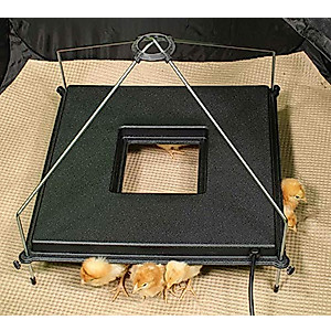 Incubator Warehouse Insta Brooder™ with Vrooder™ Heater Plate