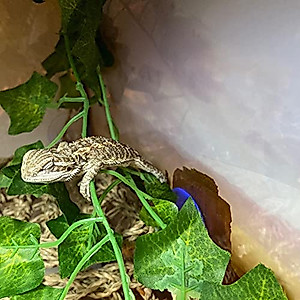 MUYG 4 PCS Bearded Dragon Hammock, Lizard Lounger Reptile Natural Seagrass Hammocks Climb Vines Plant Decoration Terrarium Accessories for Lizards Chameleon Gecko Snakes Crown Geckos