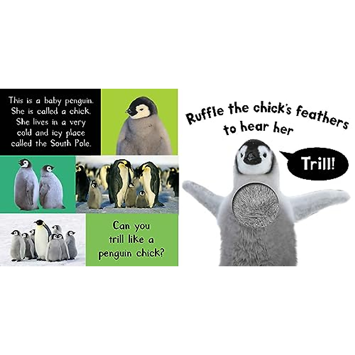 Noisy Baby Animals: Includes Six Sounds! (My First)