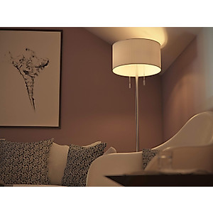 Kenroy Home 21405BS Stowe Floor Lamp with Brushed Steel Finish, Modern Style, 61" Height, 19" Width, 19" Depth